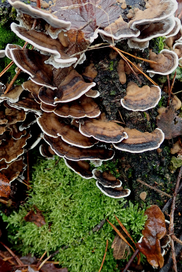 Photo by Penny Cullington